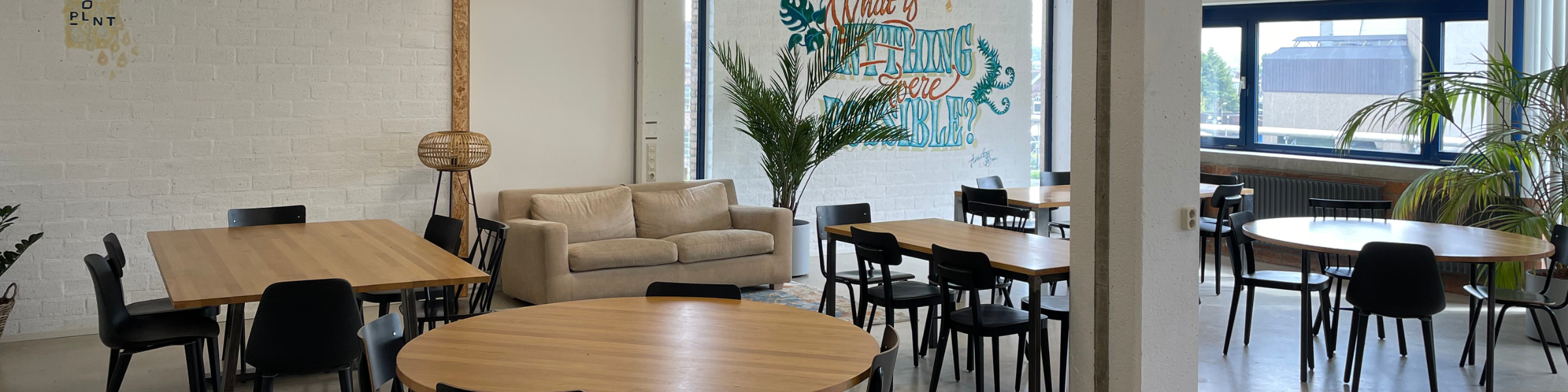 The Brainstorm - PLNT